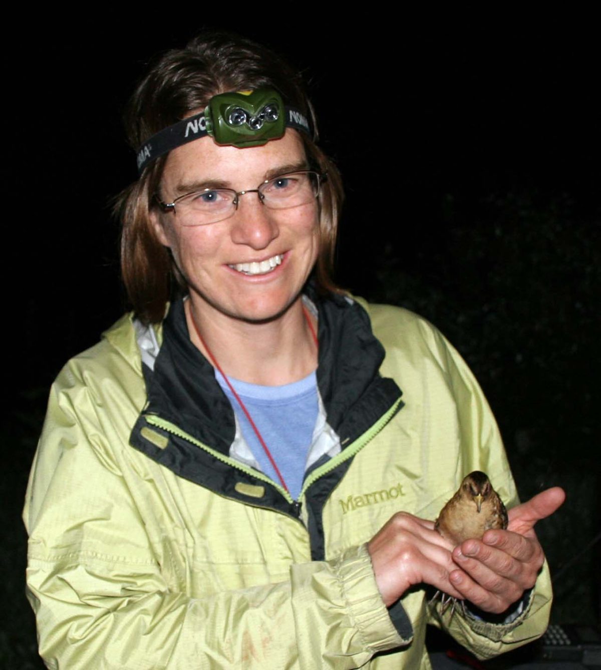 Swifting in the valley – ROGUE VALLEY AUDUBON SOCIETY