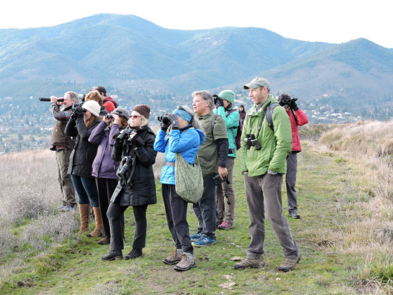 Birding – ROGUE VALLEY AUDUBON SOCIETY